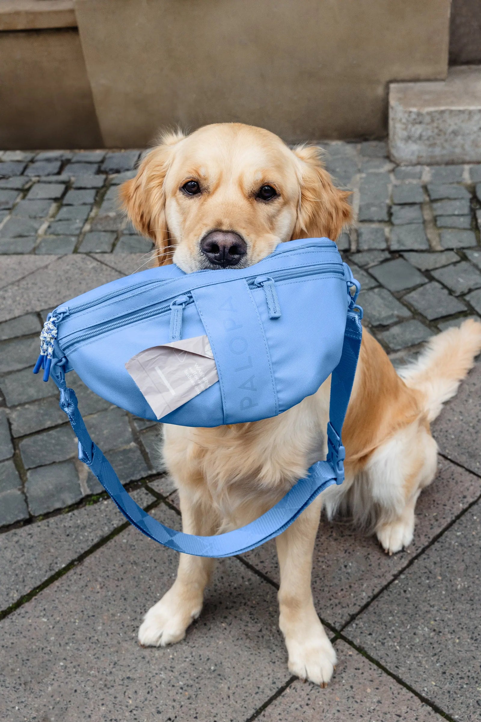 Leckerlibeutel zum Umhängen - Futterbeutel für Hunde | PALOPA