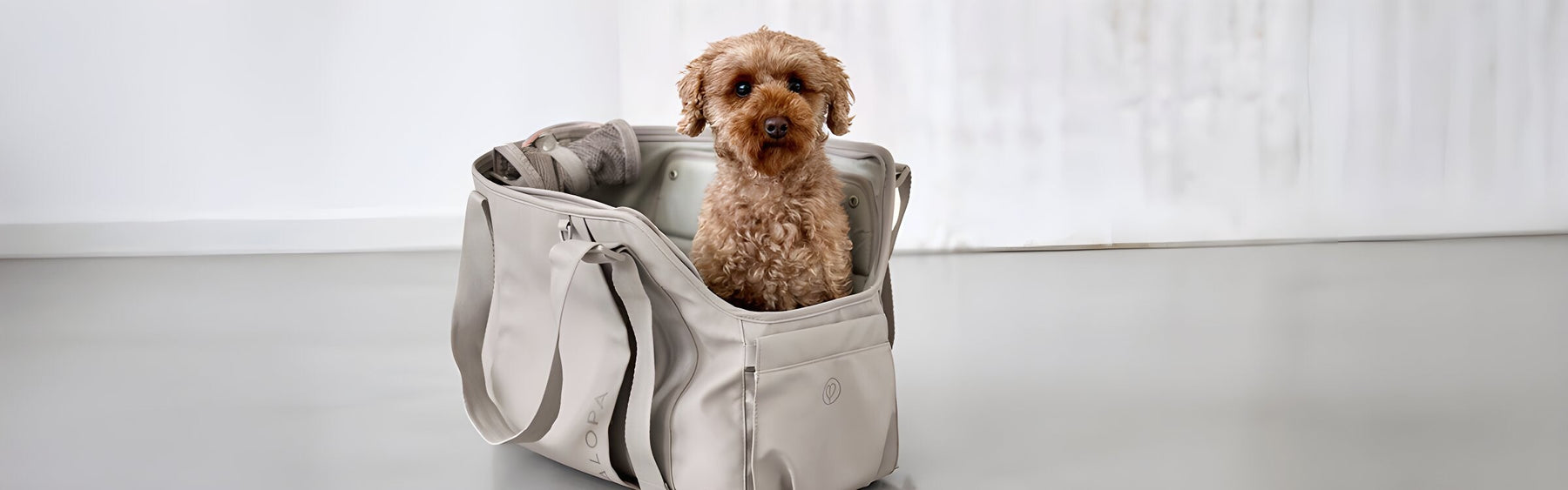 Nachhaltiges Hundezubehör im Hundeshop online kaufen | Palopa