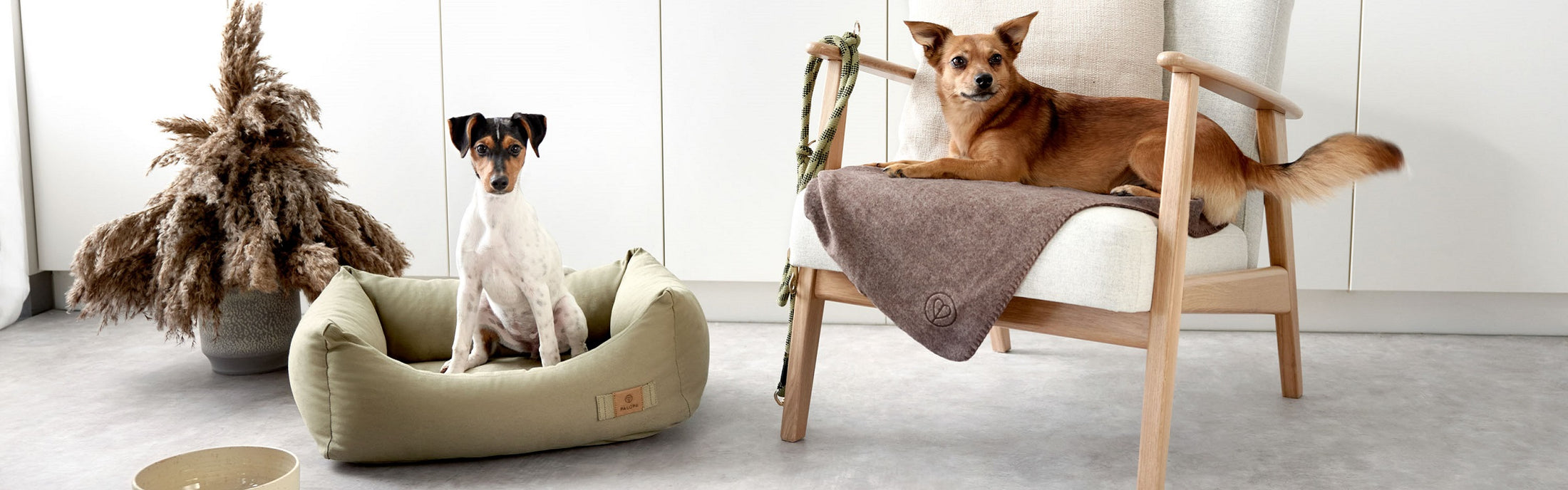 Nachhaltiges Hundezubehör im Hundeshop online kaufen | Palopa