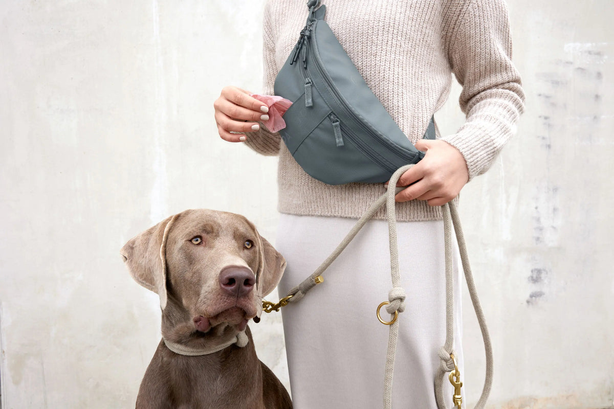 Nachhaltiges Hundezubehör im Hundeshop online kaufen | Palopa